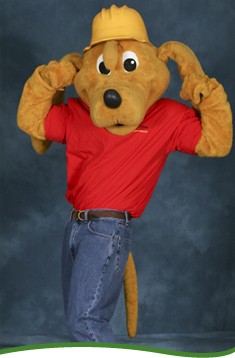 Index of /userfiles/image